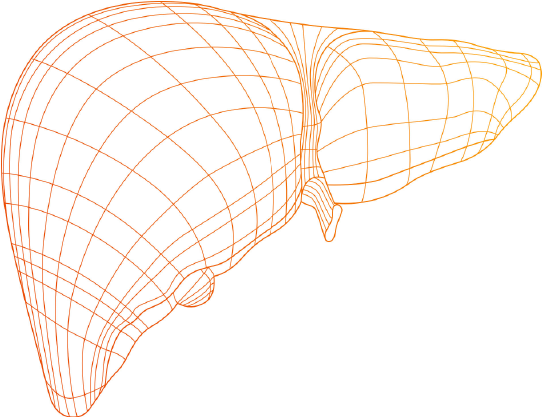 FibroScan®, 瞬时弹性成像 - 用于肝脏硬度 - ECHOSENS