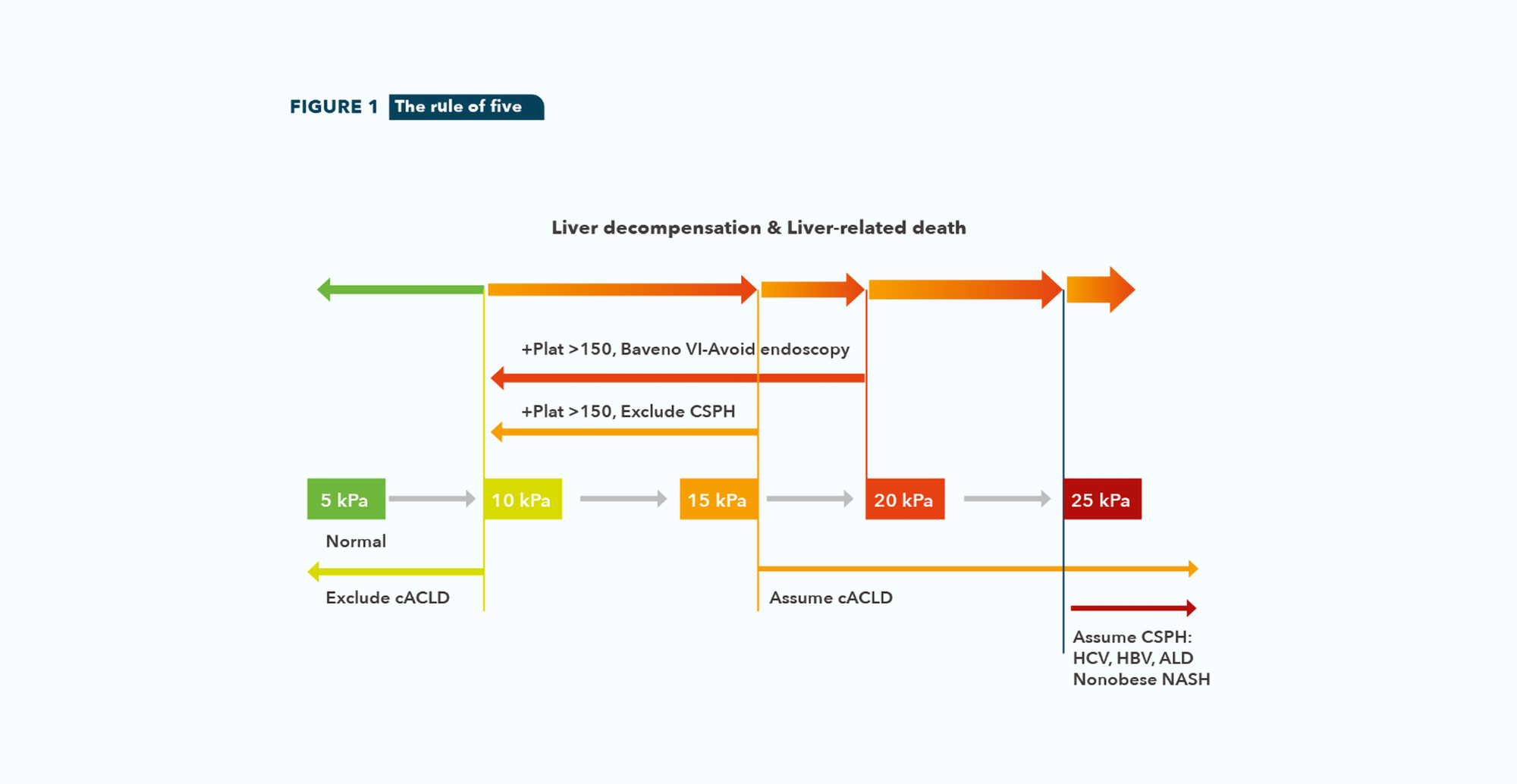 Baveno VII guidelines on FibroScan® - Echosens